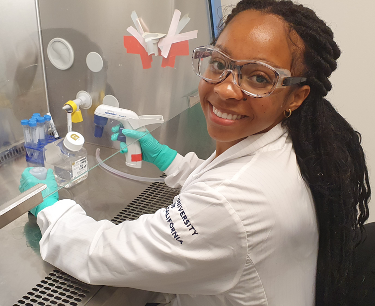 Encapsulation of MSC-Derived EVs in Collagen Hydrogels to Study EV–ECM Interactions | Material ...